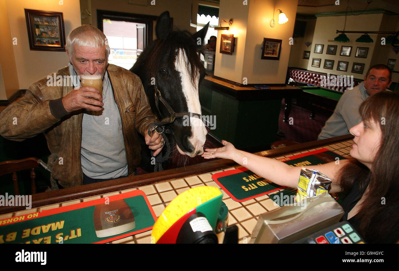 Peter Dolan with cart horse Peggy as she enjoys a pint of John Smiths ...