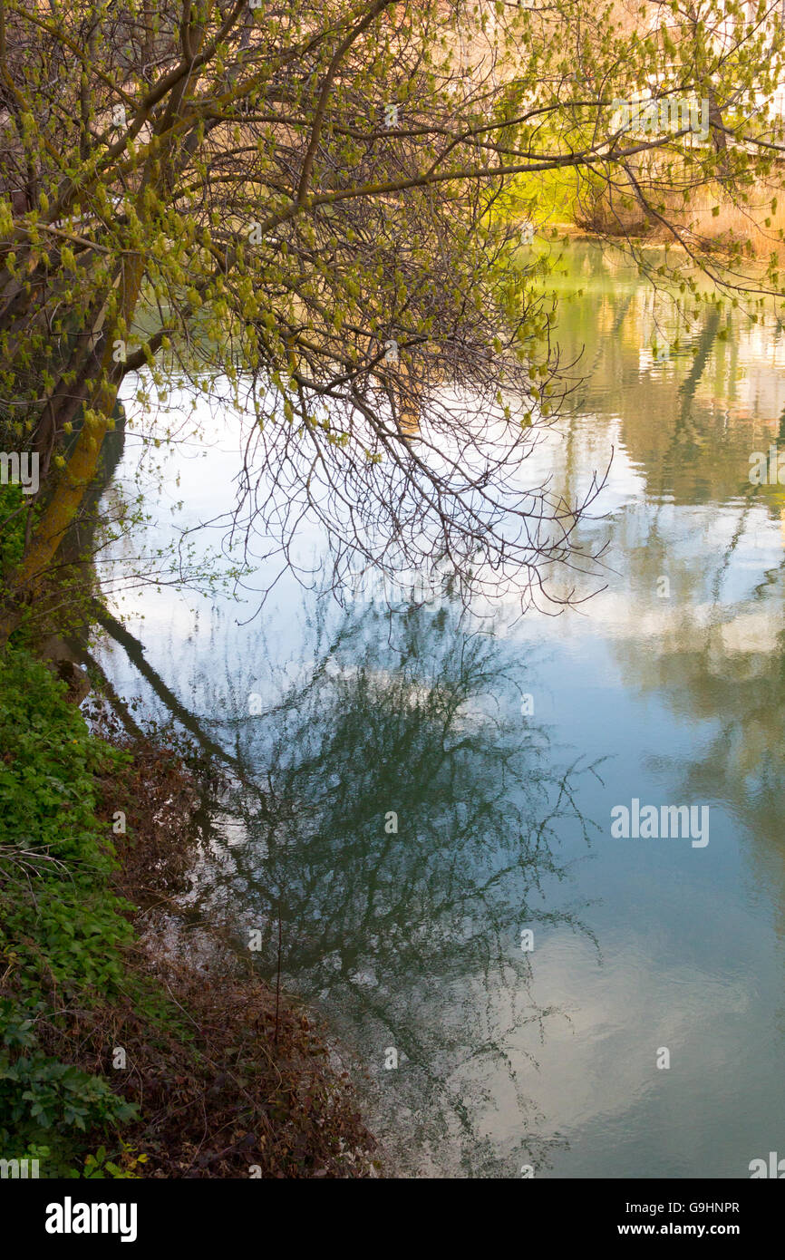 Quiet river runs between trees Stock Photo - Alamy