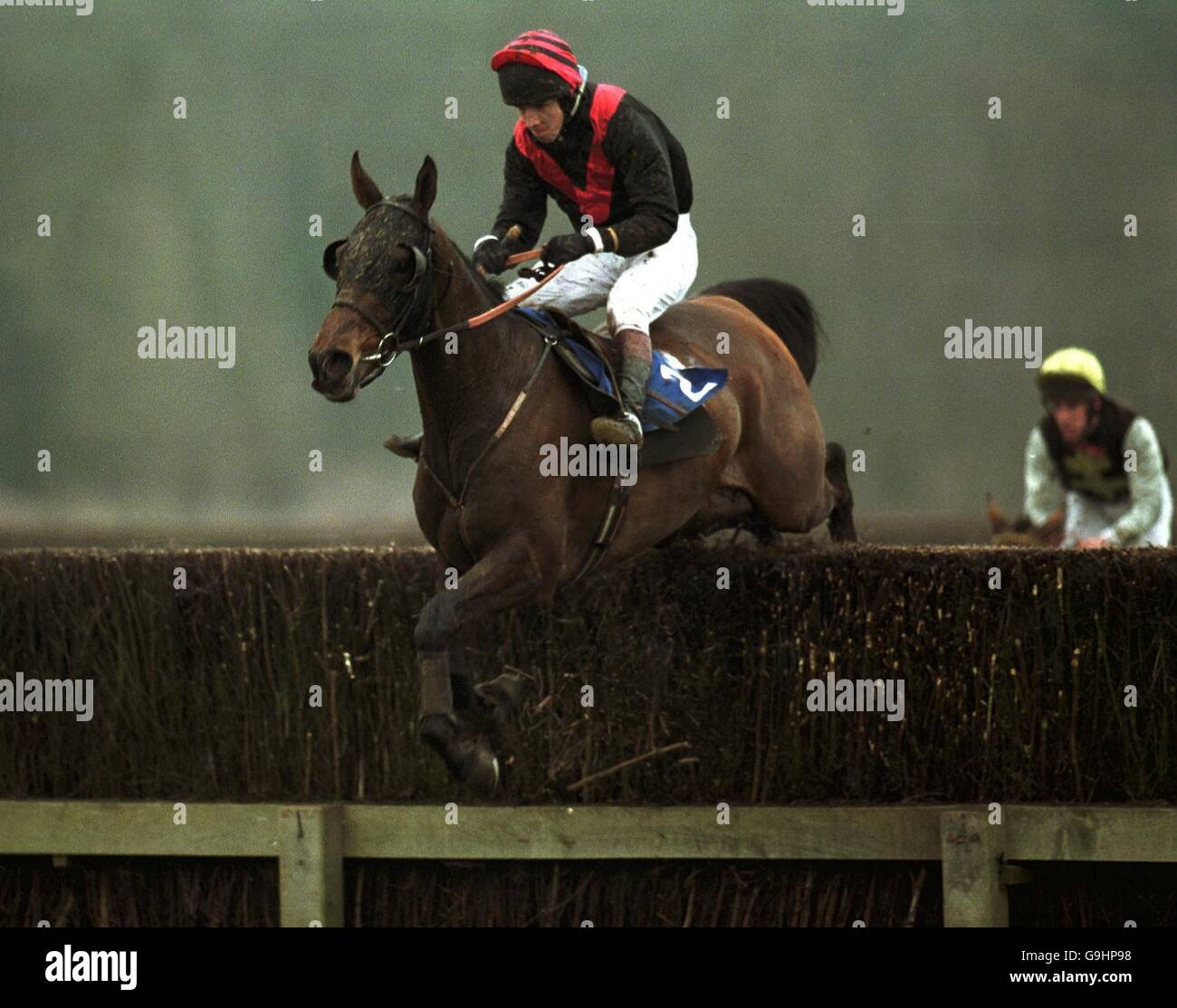 Horse racing lingfield races hi-res stock photography and images - Alamy