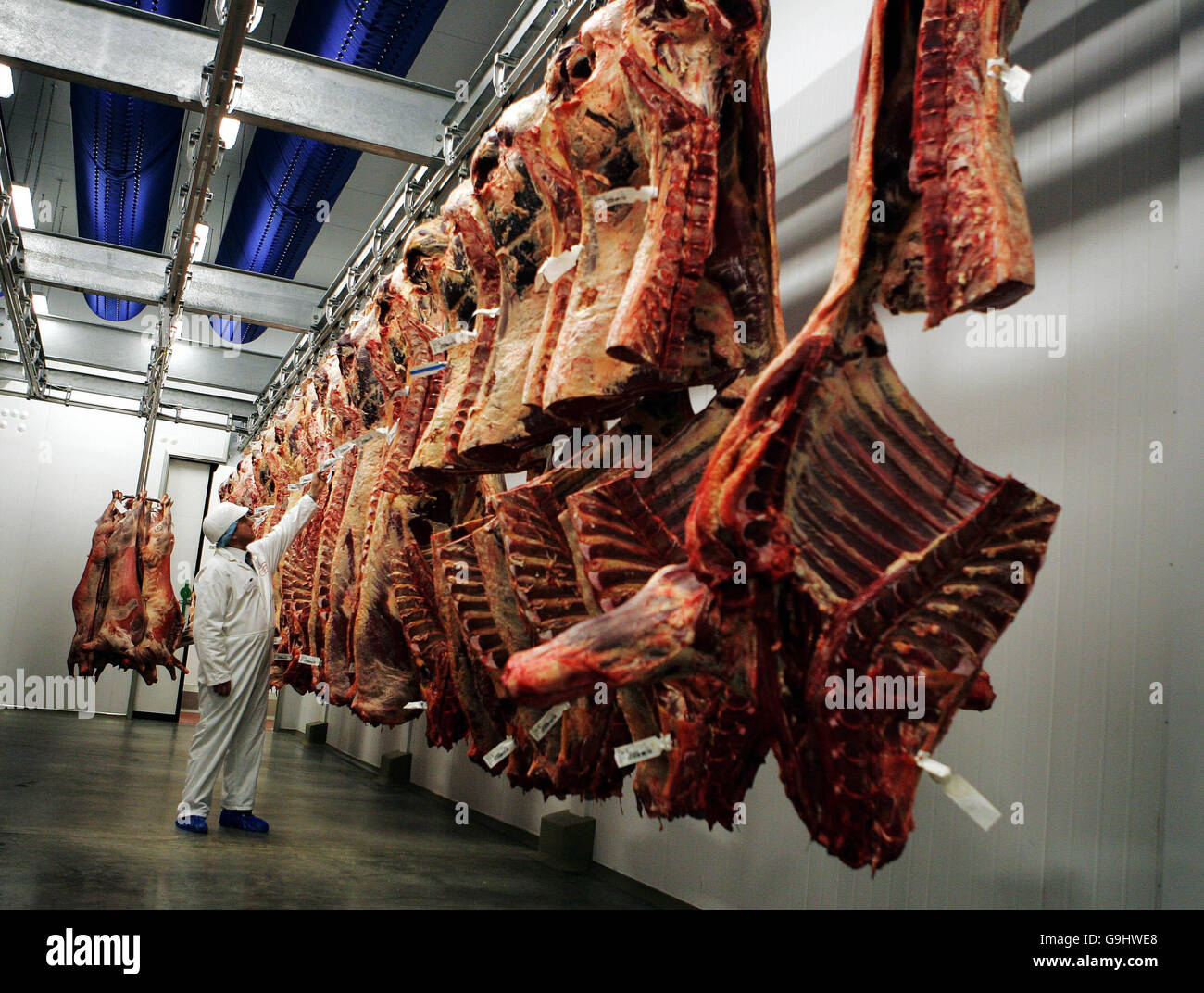 Abattoir scotland hi-res stock photography and images - Alamy