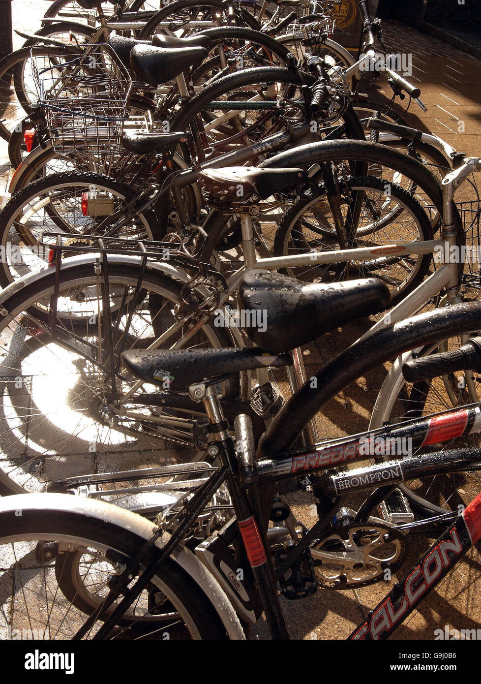 Generic stock picture of a row of Bicycles chained up outside one of ...
