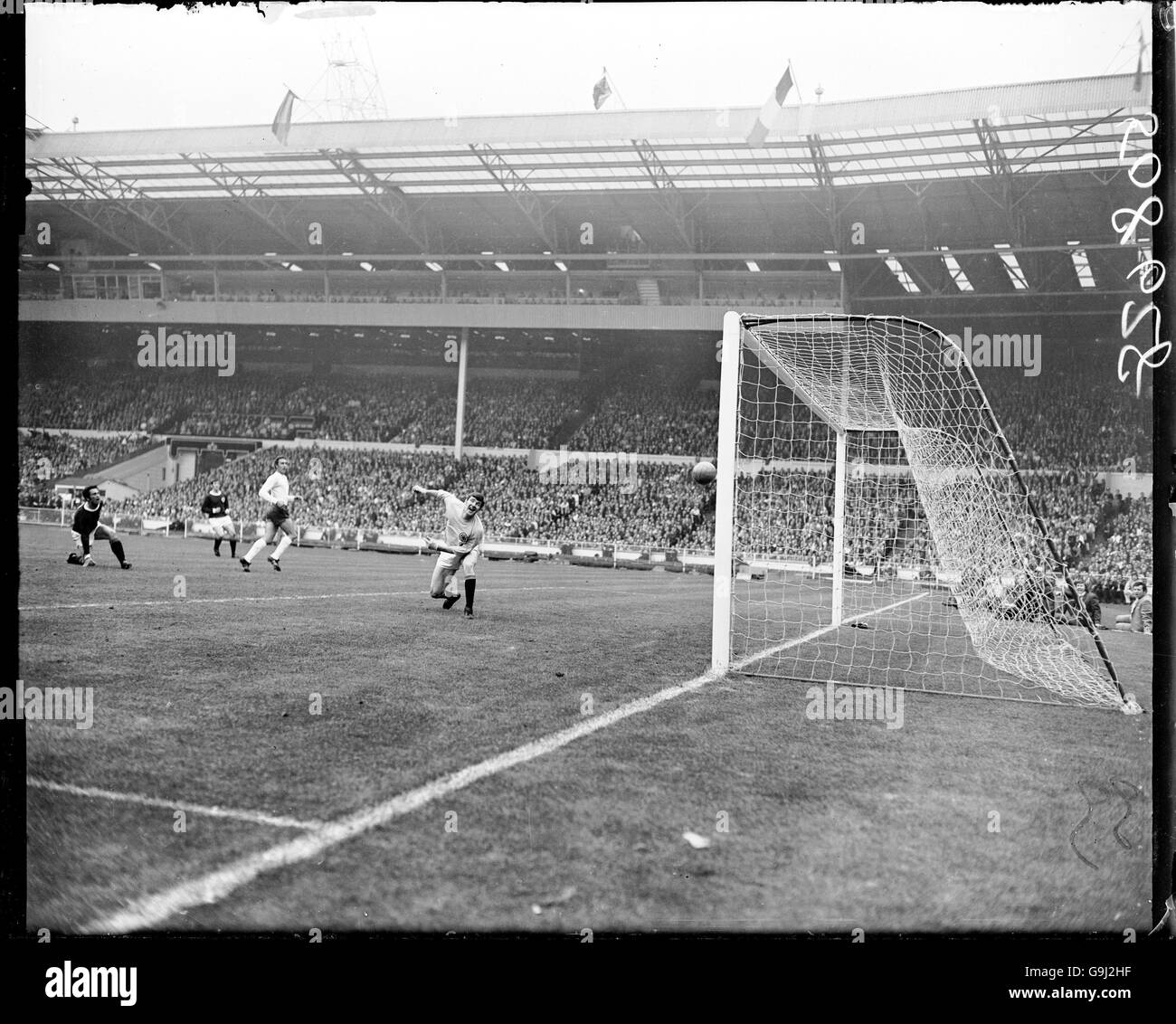 Chivers hi-res stock photography and images - Alamy