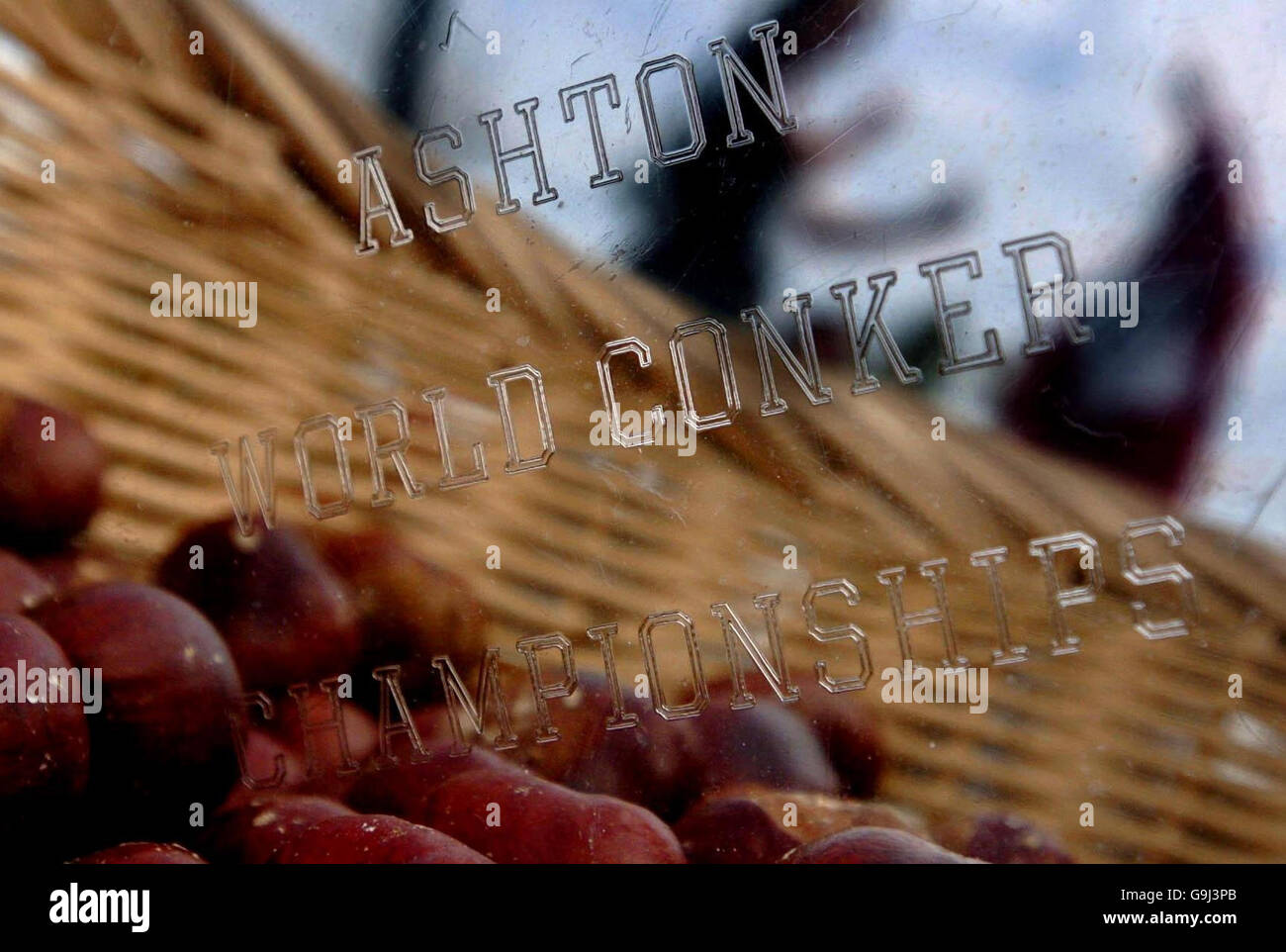 Competitors and conkers are reflected in the trophy at the World Conker ...