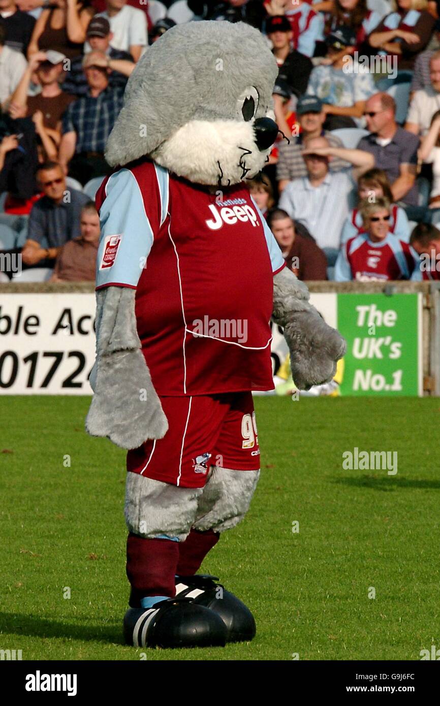 Brighton and hove albion mascot hi-res stock photography and images - Alamy
