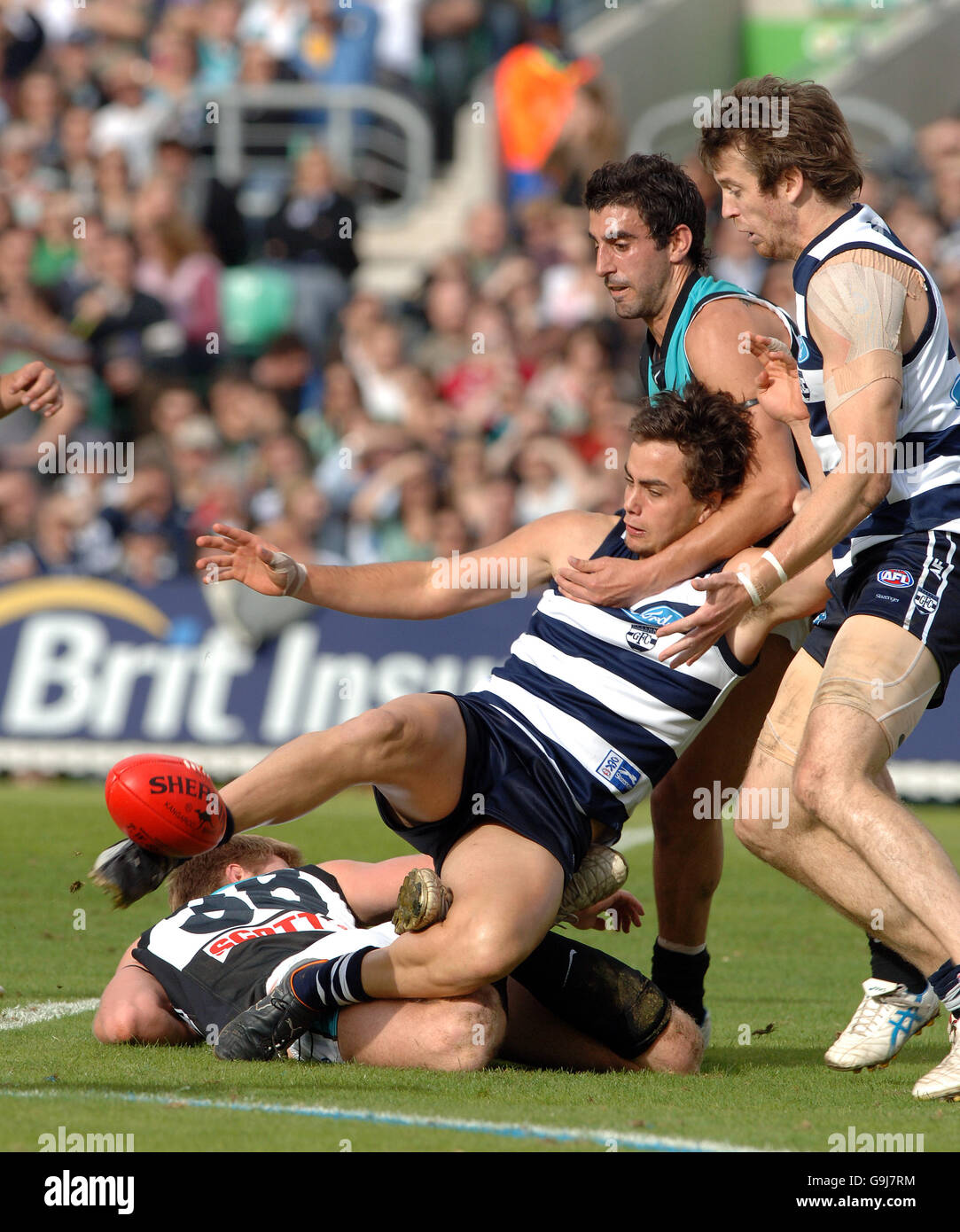 Afl power cats hi-res stock photography and images - Alamy