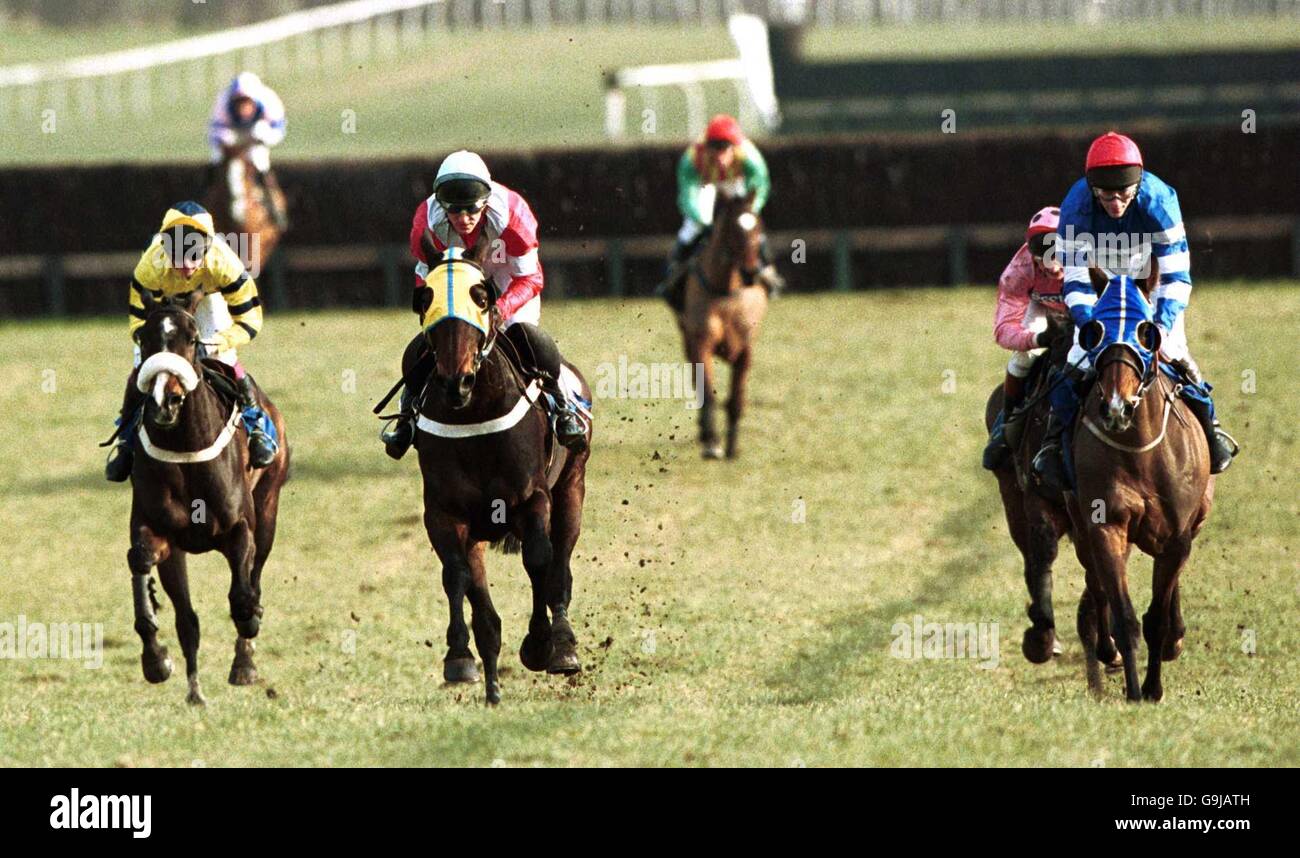 Catterick Races - Horse Racing Stock Photo - Alamy
