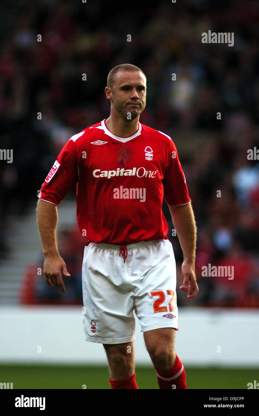 Danny cullip forest hi-res stock photography and images - Alamy