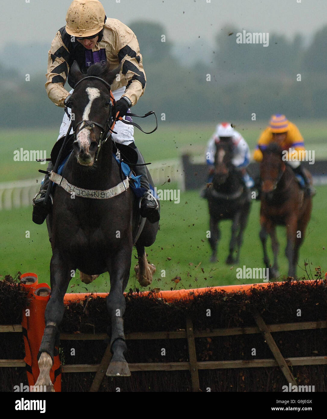 Racing - Wetherby Stock Photo - Alamy