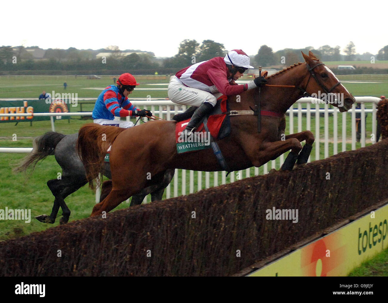 Racing - Wetherby. Too Forward ridden by Timmy Murphy go one to win the ...