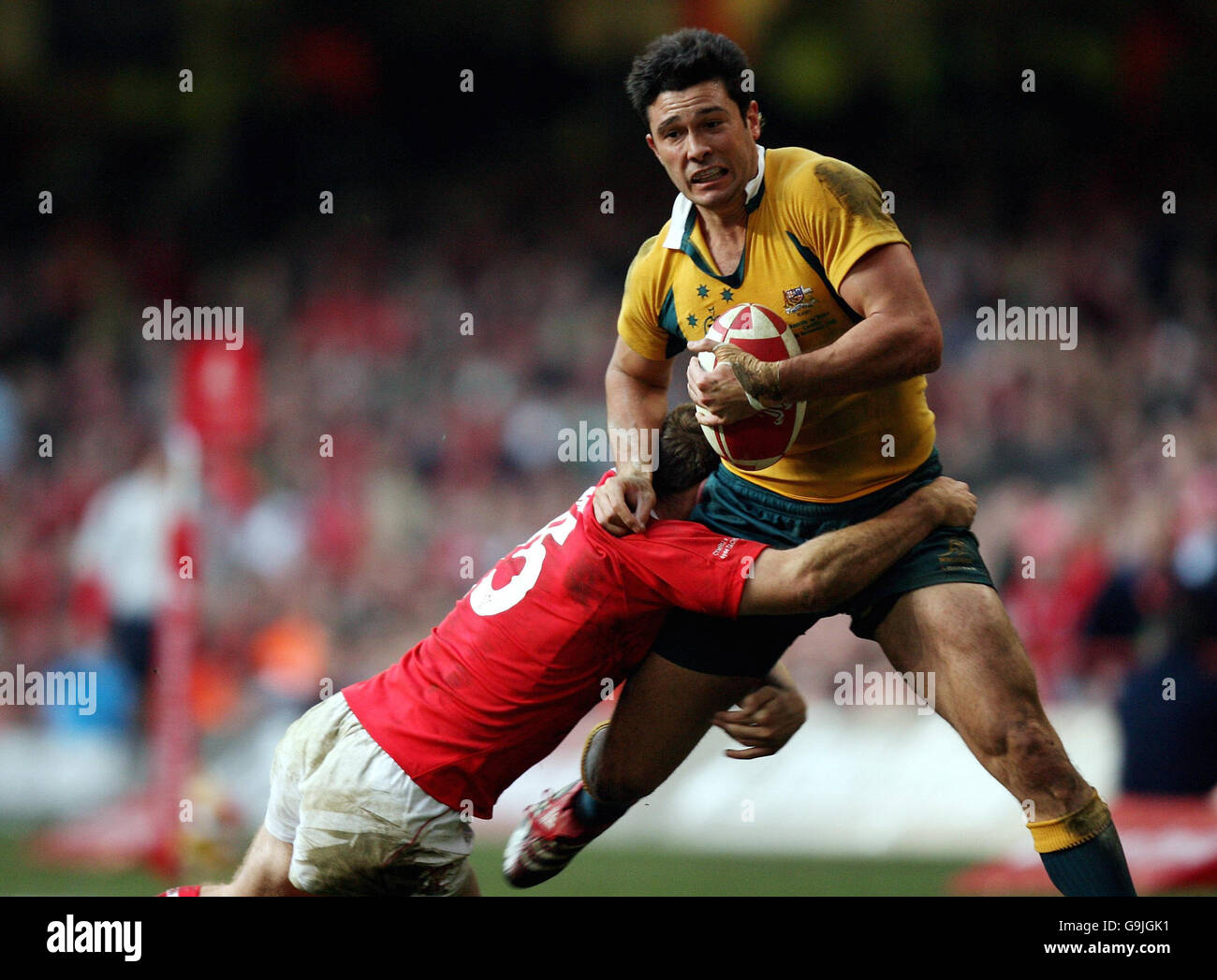 Cameron shepherd hi-res stock photography and images - Alamy