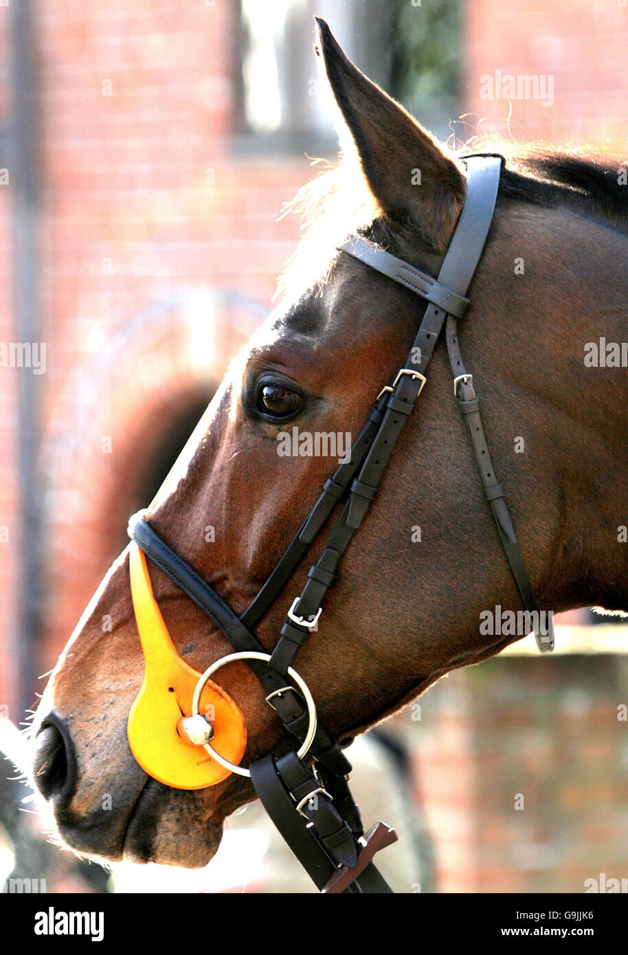 Shepton mallet view hi-res stock photography and images - Alamy