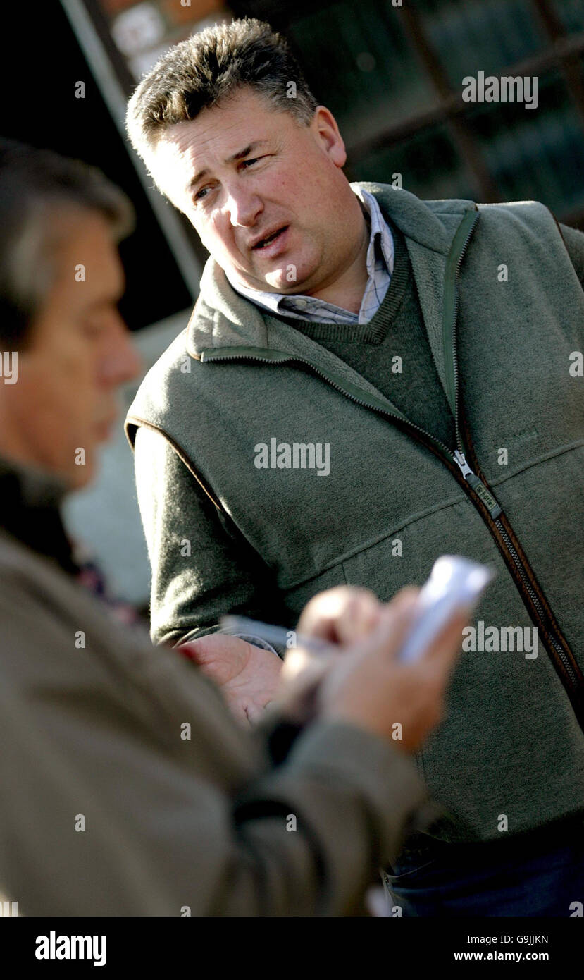 Kauto star stables hi-res stock photography and images - Alamy