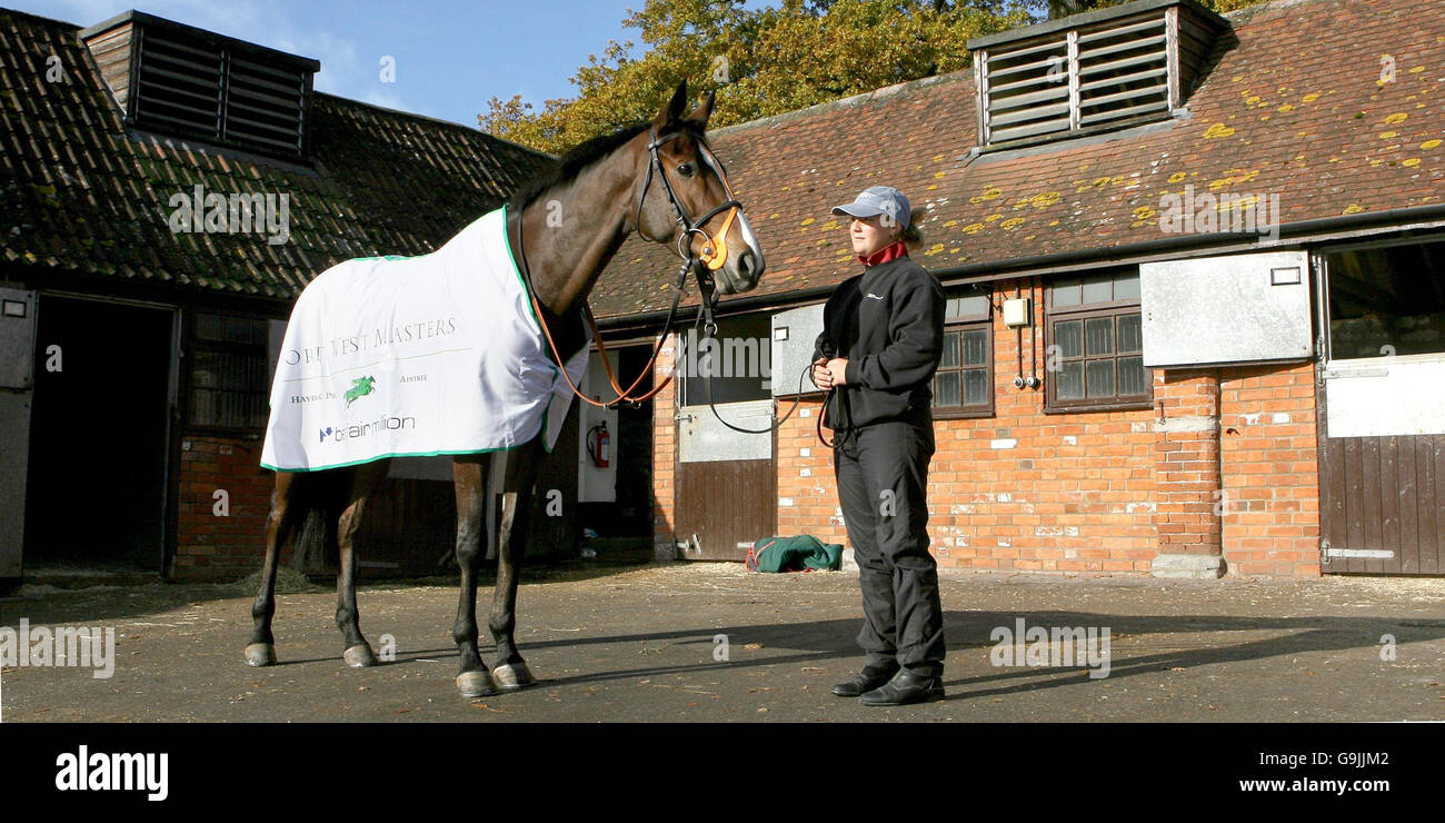 Kauto star stables hi-res stock photography and images - Alamy