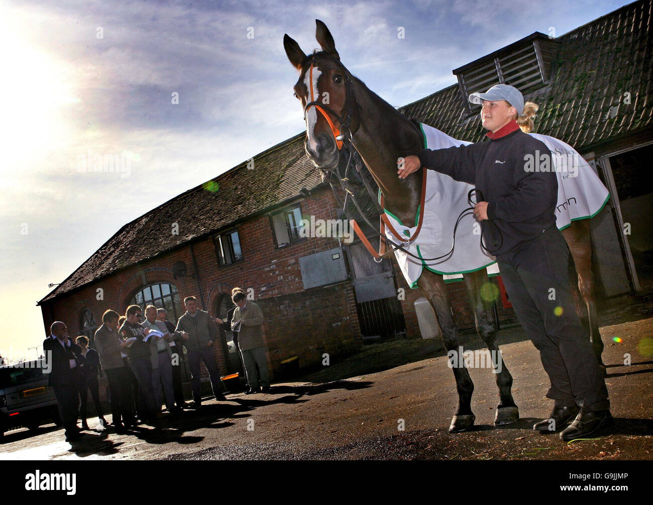 Kauto star stables hi-res stock photography and images - Alamy
