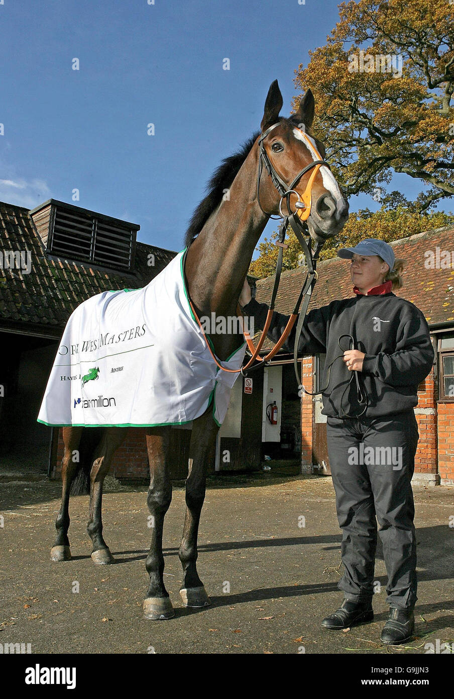 Kauto star stables hi-res stock photography and images - Alamy