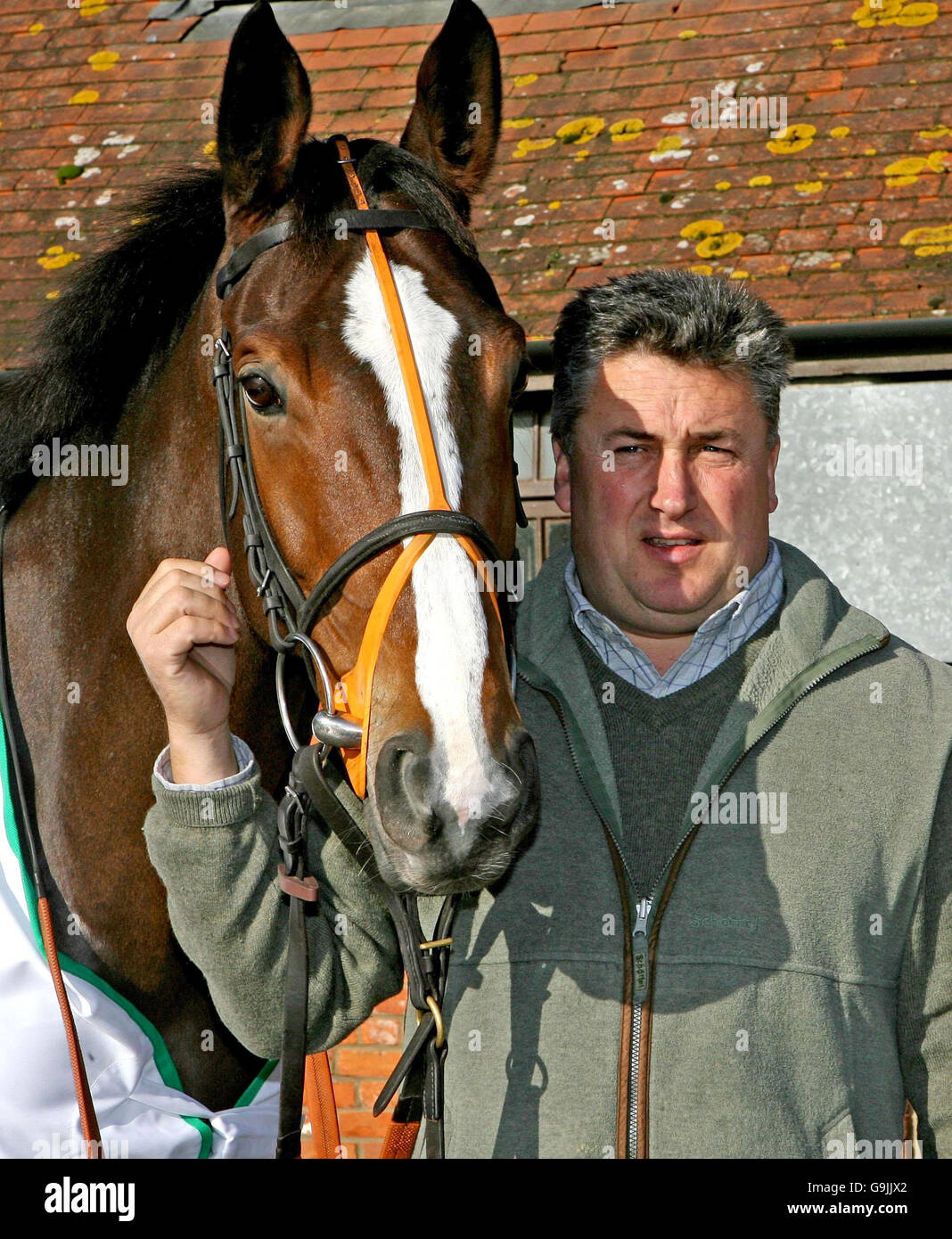 Kauto star stables hi-res stock photography and images - Alamy