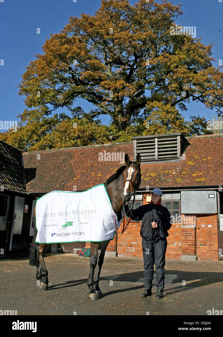 Sonja wareurton parades kauto star at manor farm stables hi-res stock ...