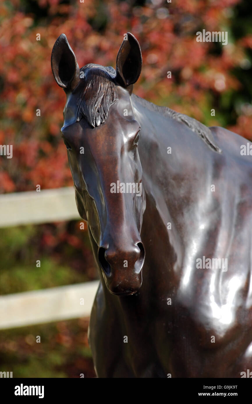 Best Mate Horse High Resolution Stock Photography and Images - Alamy