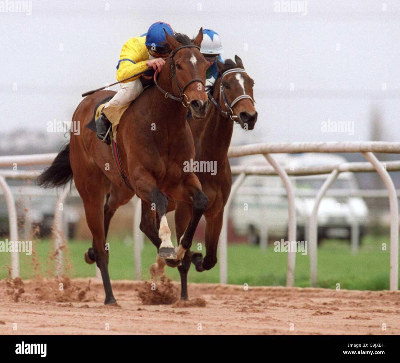 Horse ladder hi-res stock photography and images - Alamy
