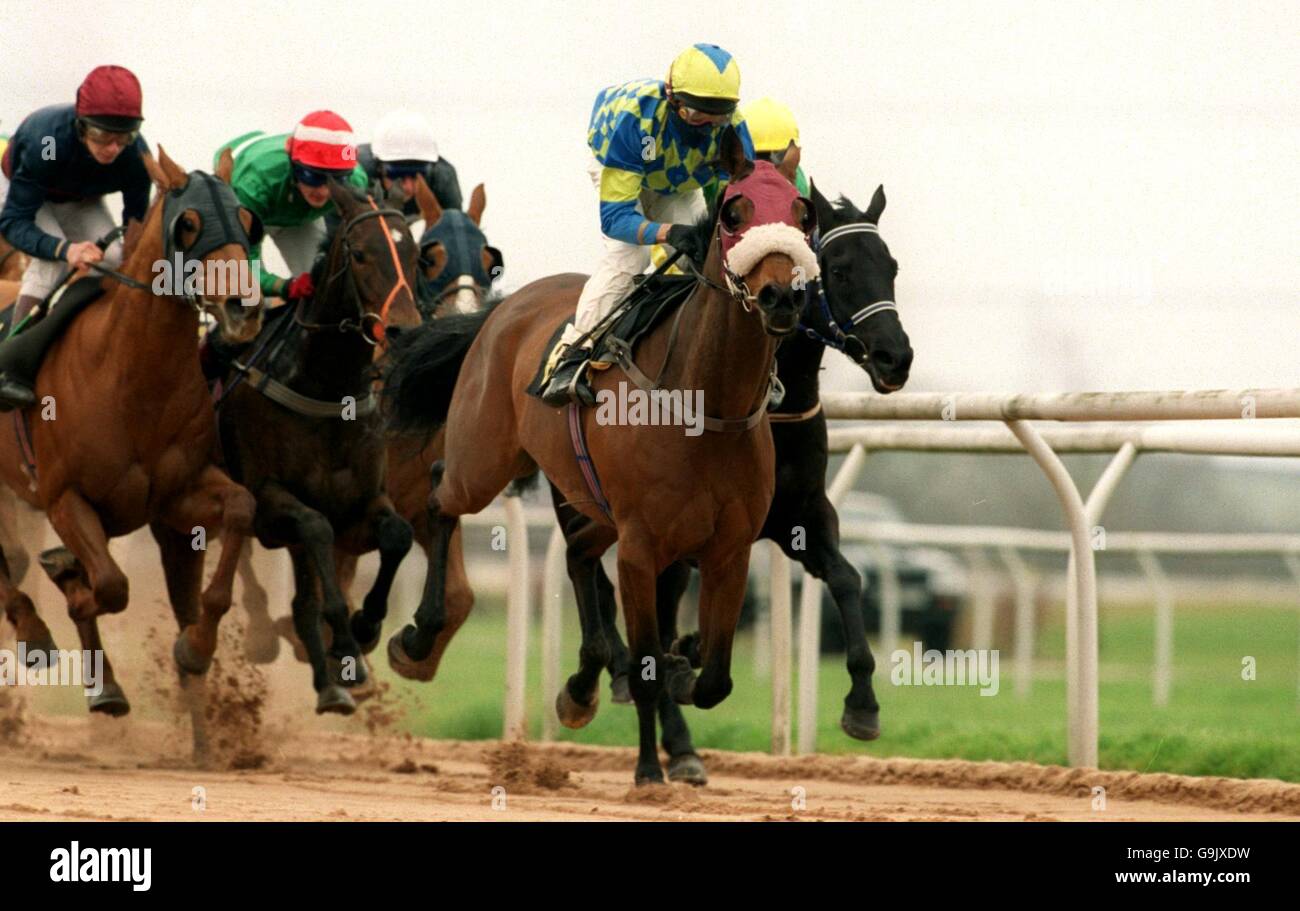 Castletown Count ridden by Dale Gibson leads the first race at ...