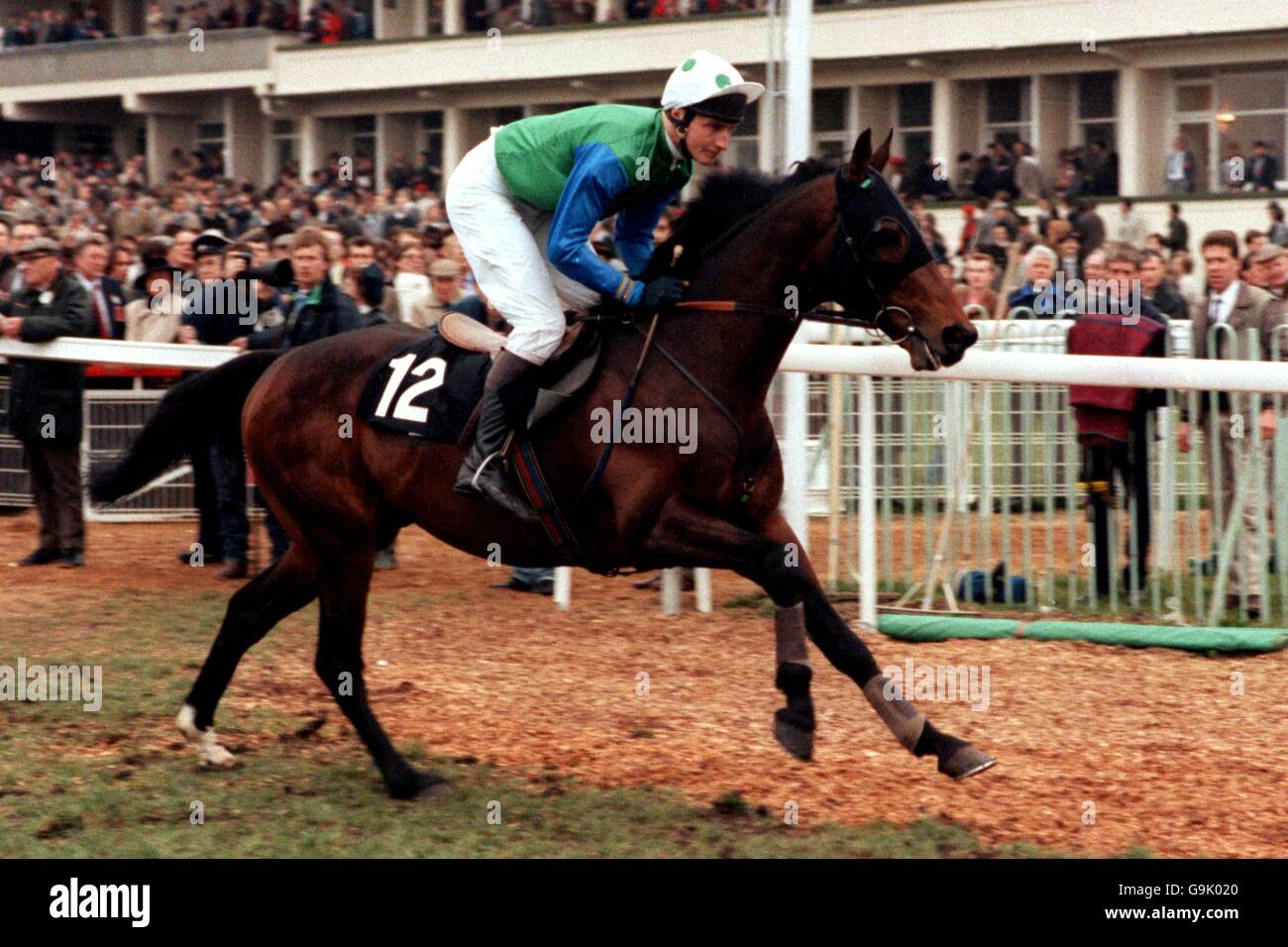 Horse Racing - Smurfit Champion Hurdle Challenge Trophy Stock Photo - Alamy