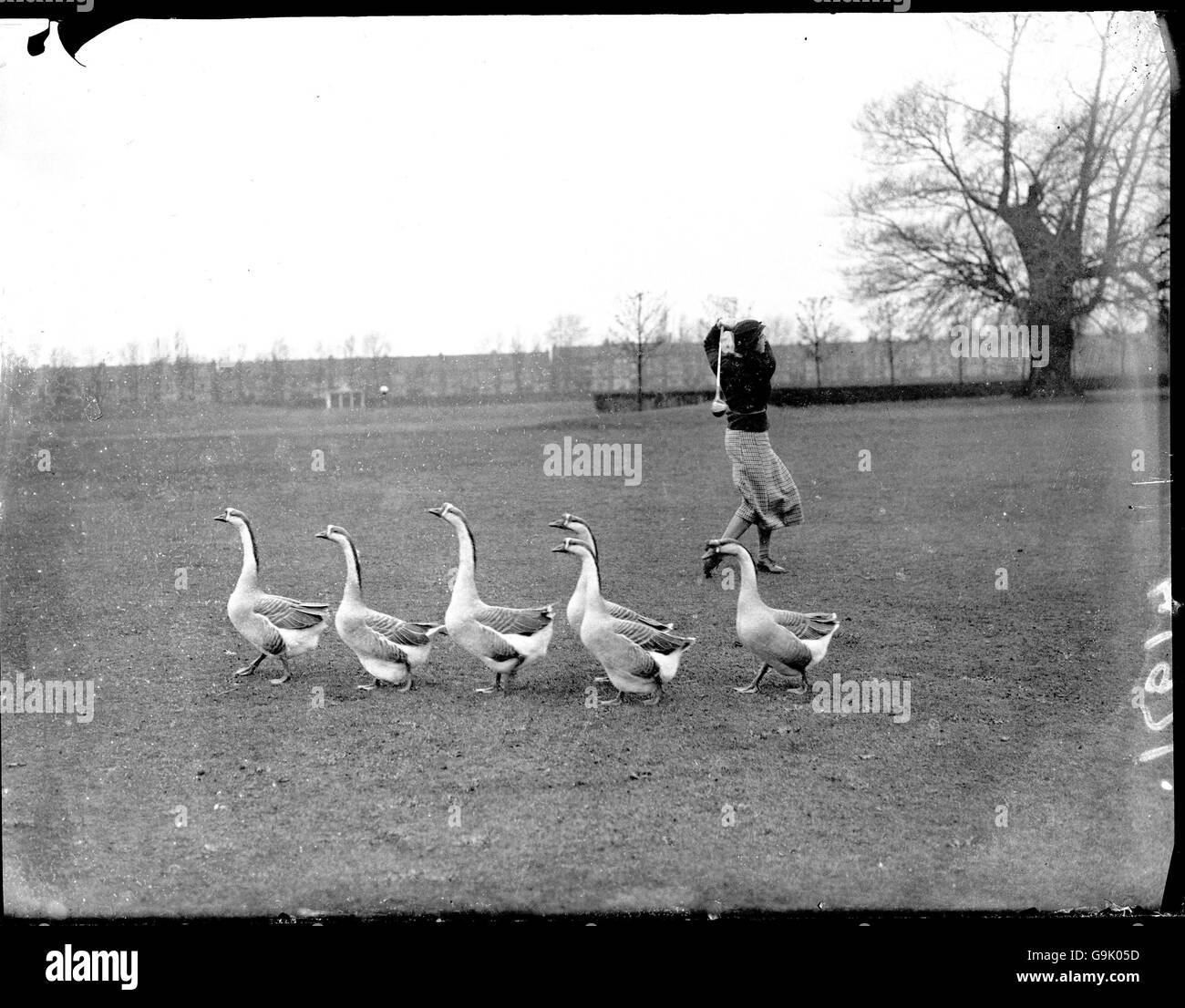 The gallery club Black and White Stock Photos & Images - Alamy