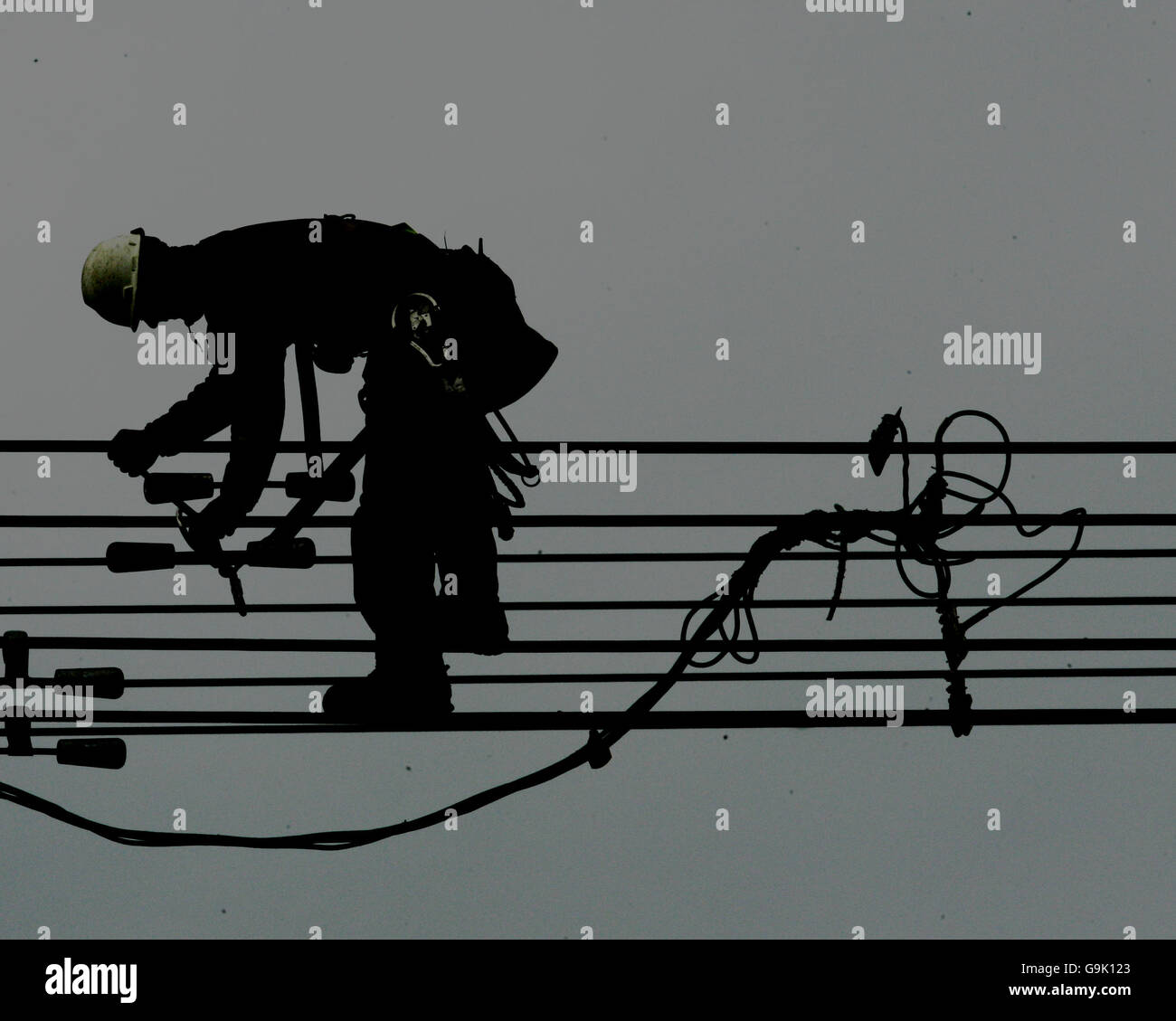 Linesman Erectors carry out the refurbishment of the Denny to ...