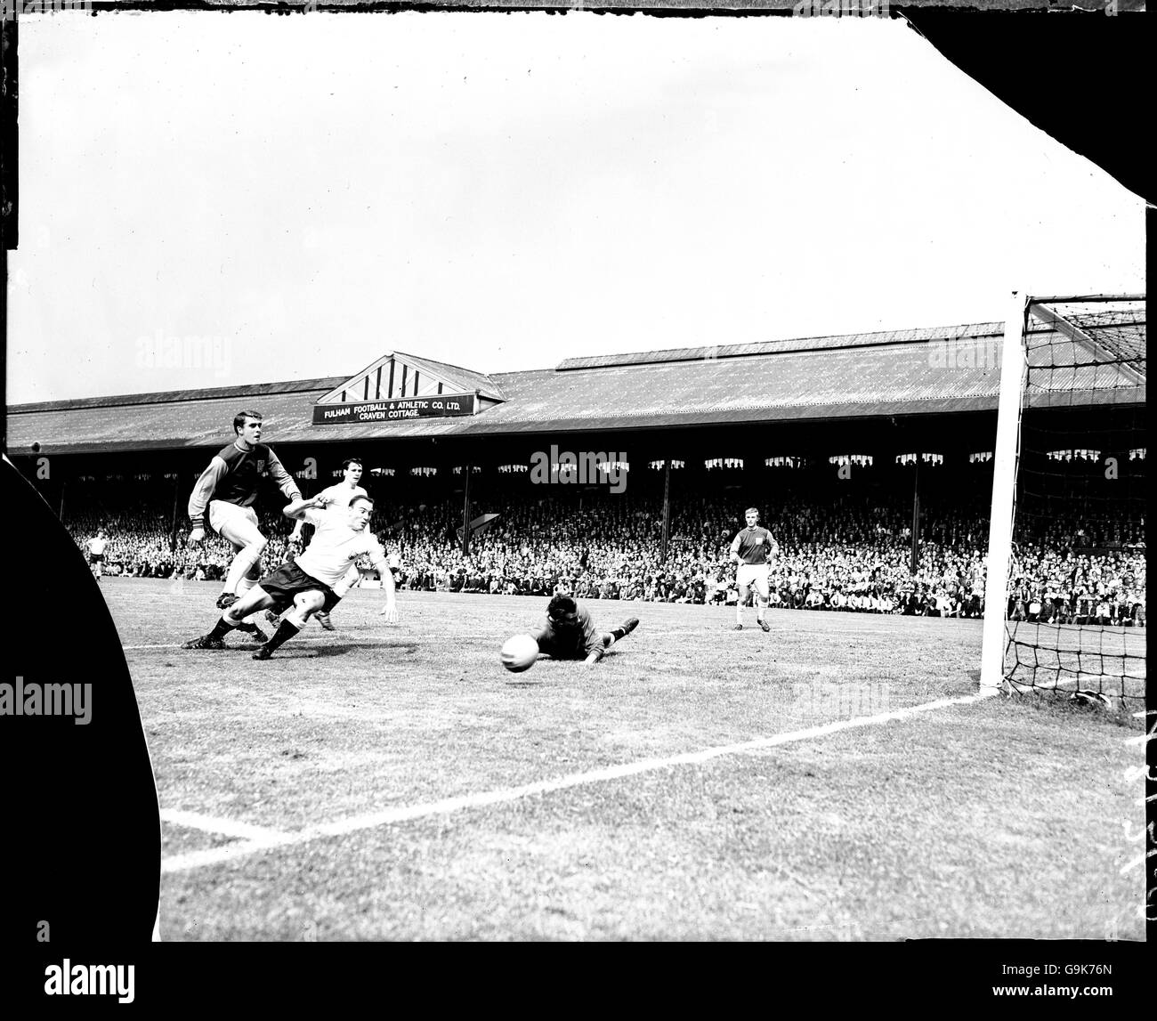 Foiled Black and White Stock Photos & Images - Alamy