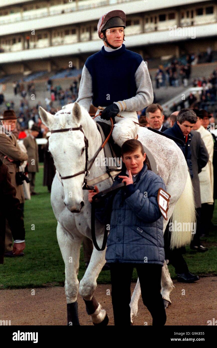 Desert orchid ascot hi-res stock photography and images - Alamy