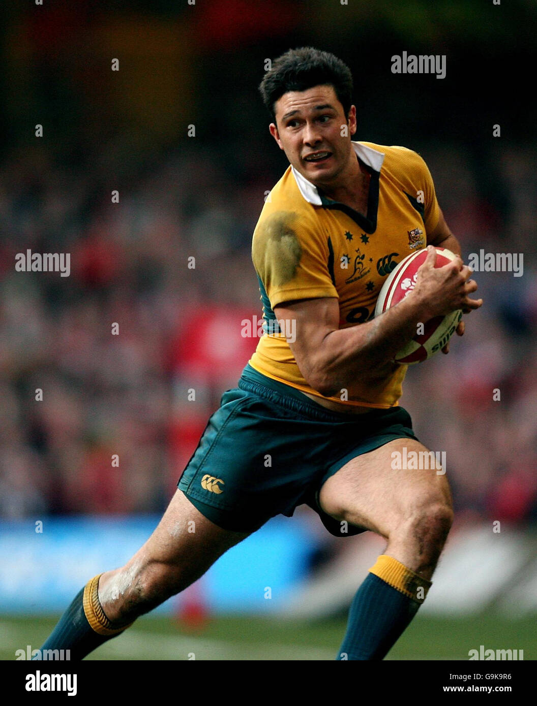 Cameron shepherd hi-res stock photography and images - Alamy