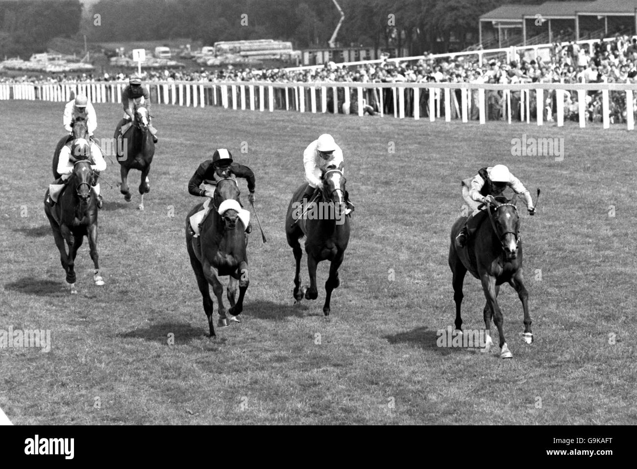 Queen winning horse ascot Black and White Stock Photos & Images - Alamy