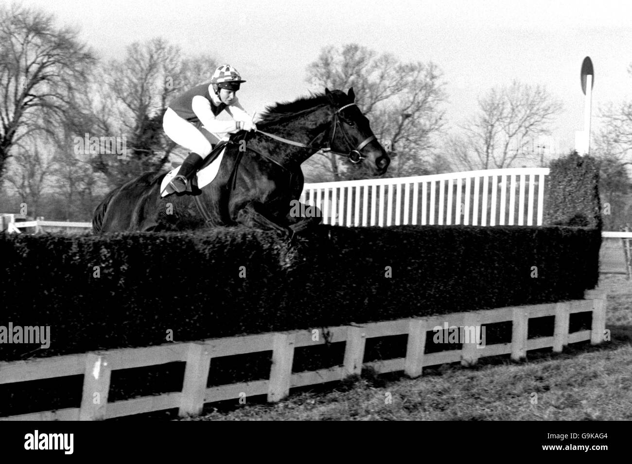 Landing on fence Black and White Stock Photos & Images - Alamy