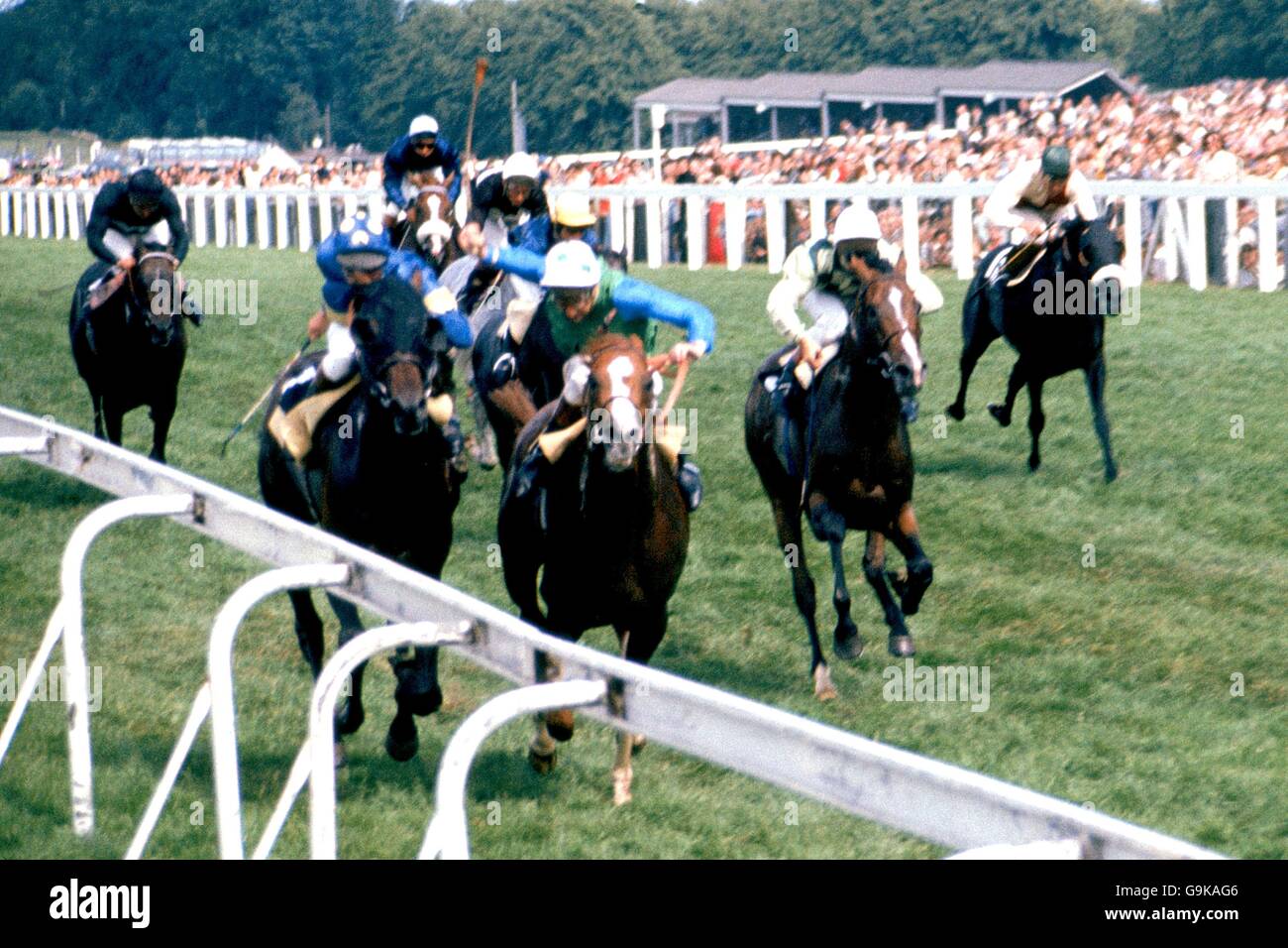 George vi and queen elizabeth diamond stakes hi-res stock photography ...