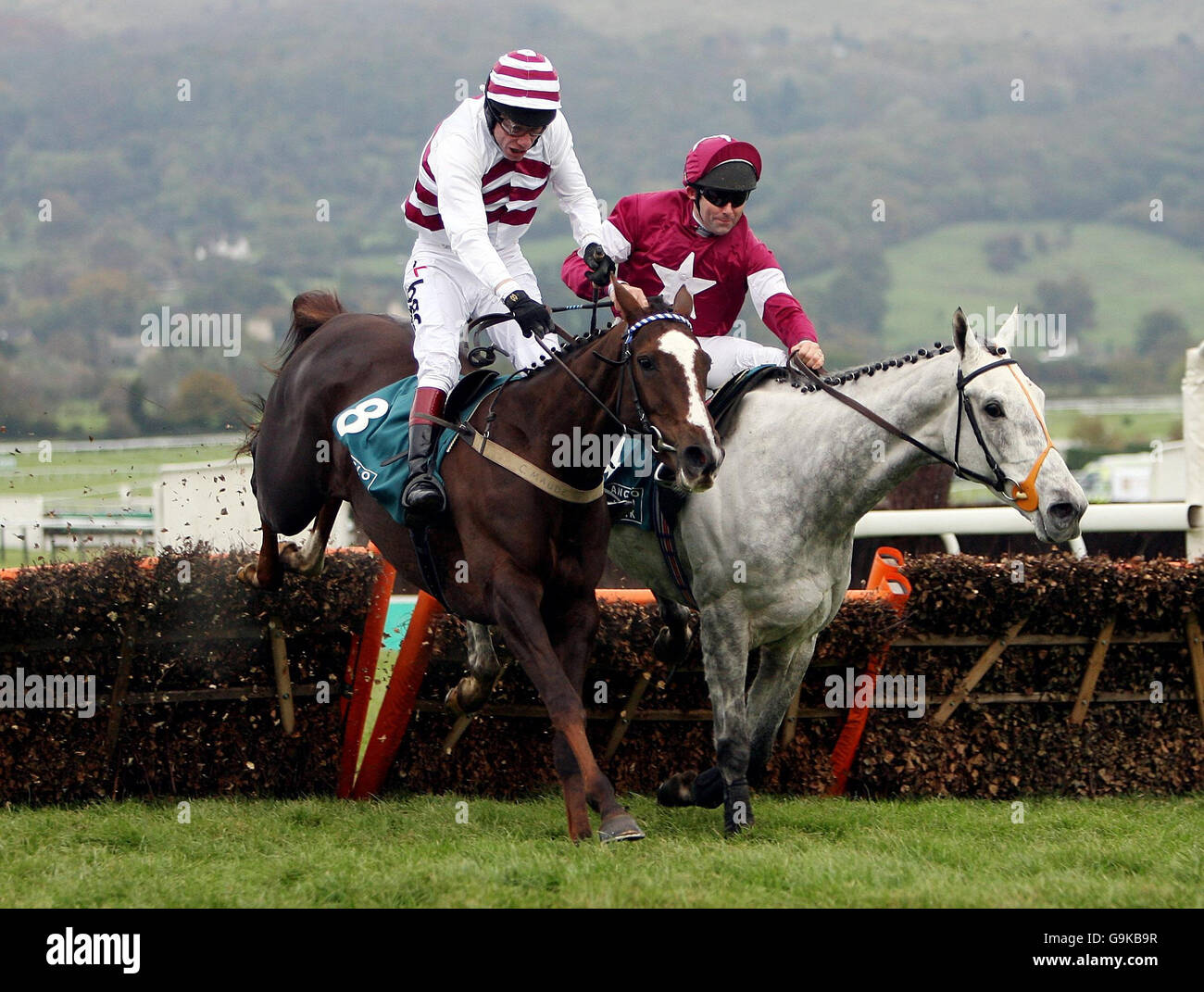 Mill house horse hi-res stock photography and images - Alamy