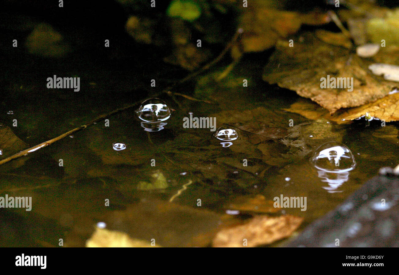 Generic stock image of autumn colours Stock Photo - Alamy