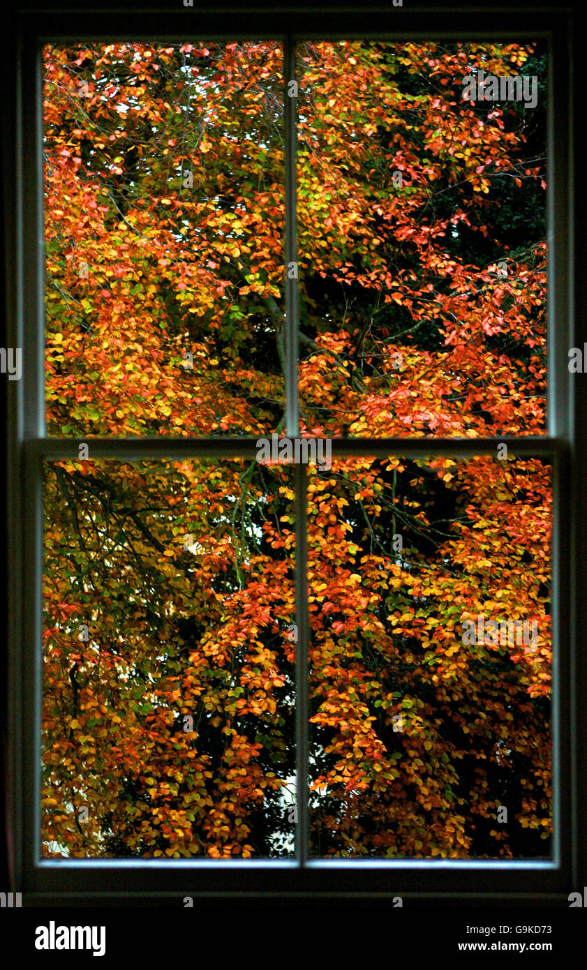 Stock picture autumn colours hi-res stock photography and images - Alamy