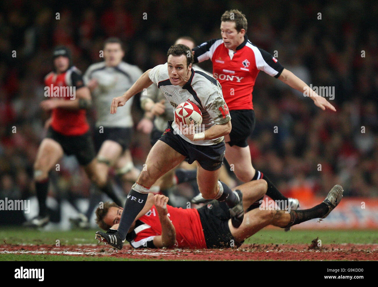 International rugby union gv general view hi-res stock photography and ...