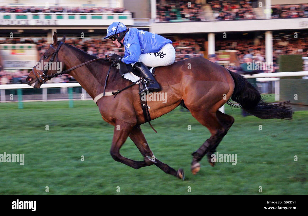 Tony mccoy wins steve bell handicap chase haydock racecourse hi-res ...
