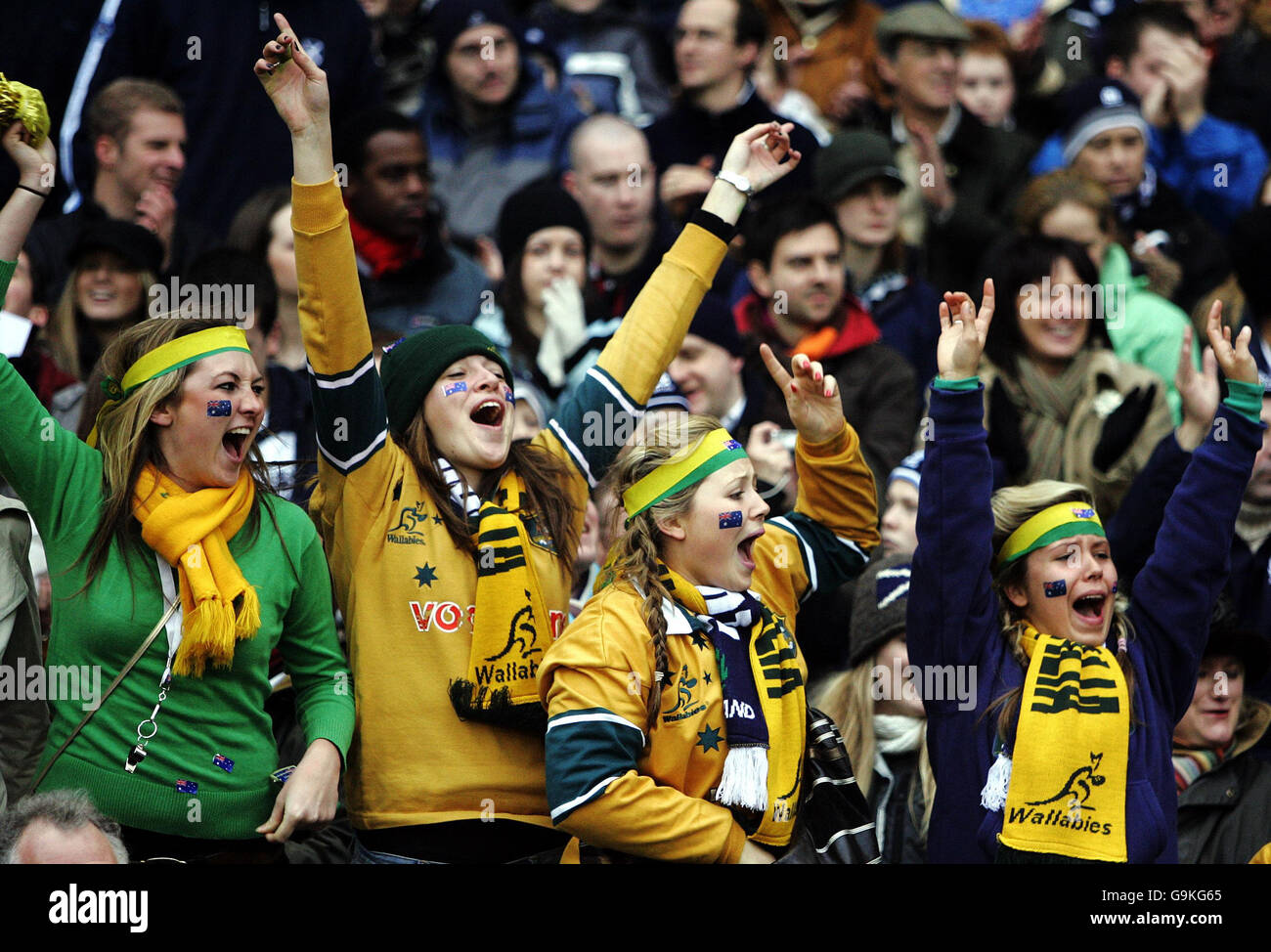 Australia rugby fans celebrate win against scotland hi-res stock ...