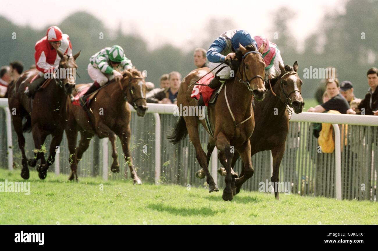 Horse Racing - York Races Stock Photo - Alamy