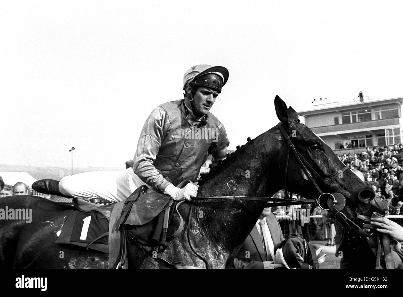 Horse Racing - Cheltenham - Waterford Crystal Champion Hurdle Stock ...