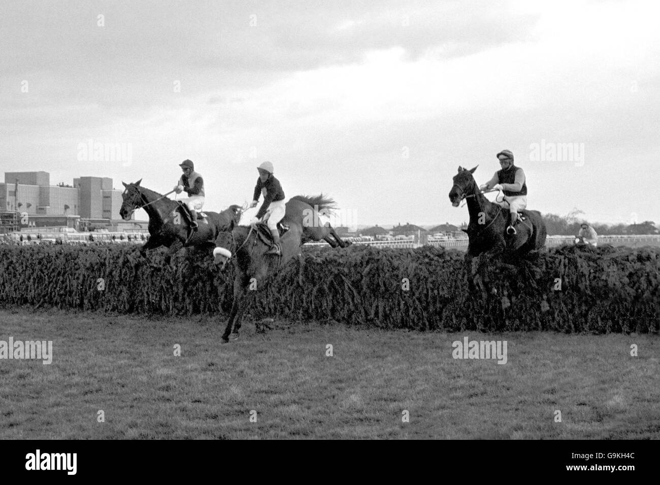 Red rum grand national tommy stack hi-res stock photography and images ...