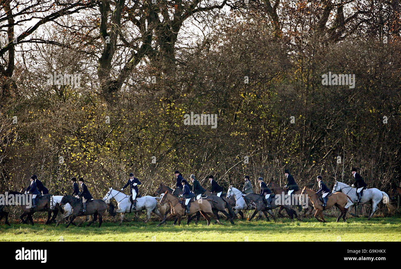 The beaufort hunt ride out across badminton estate in gloucestershire ...
