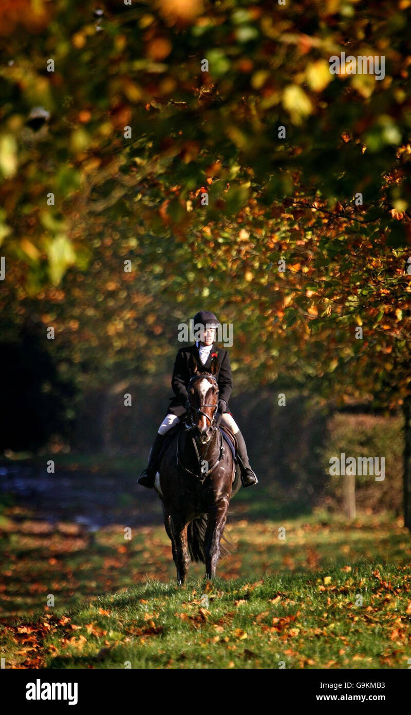 Fox hunt and rider hi-res stock photography and images - Alamy