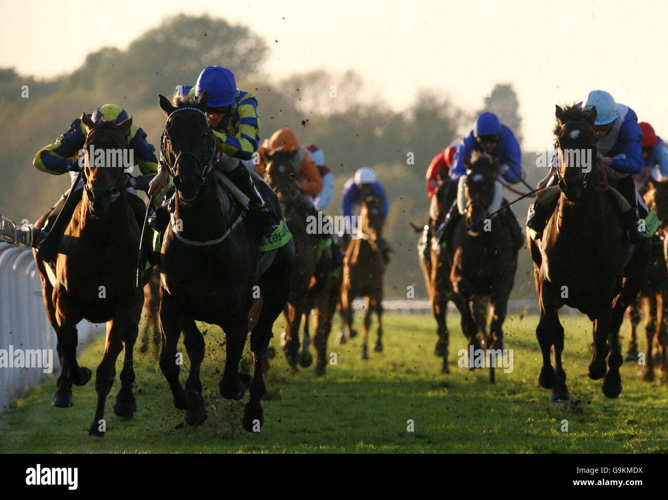 Windsorracecoursecollection hi-res stock photography and images - Alamy