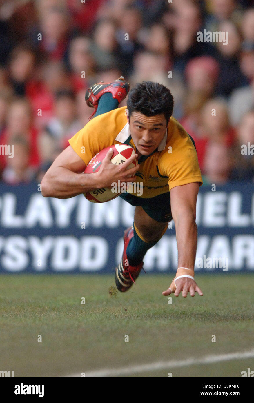 Cameron shepherd hi-res stock photography and images - Alamy