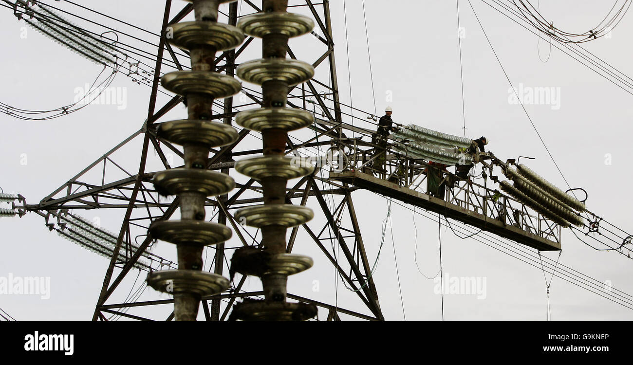 Linesman Erectors carry out the refurbishment of the Denny to ...