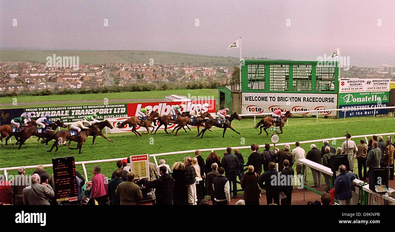Horse Racing - Brighton Races Stock Photo - Alamy