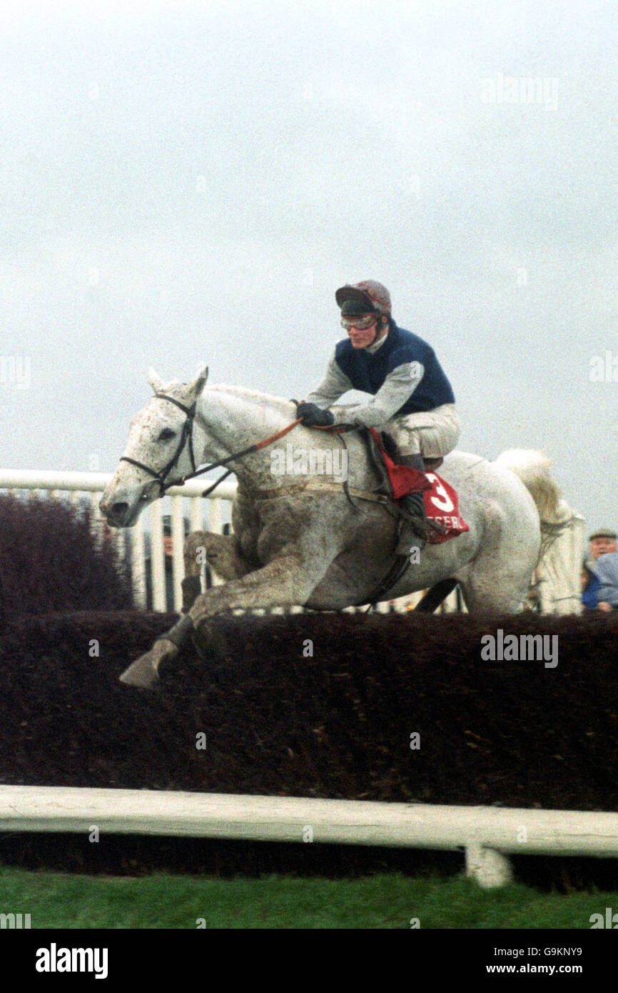 King george vi steeplechase hi-res stock photography and images - Alamy
