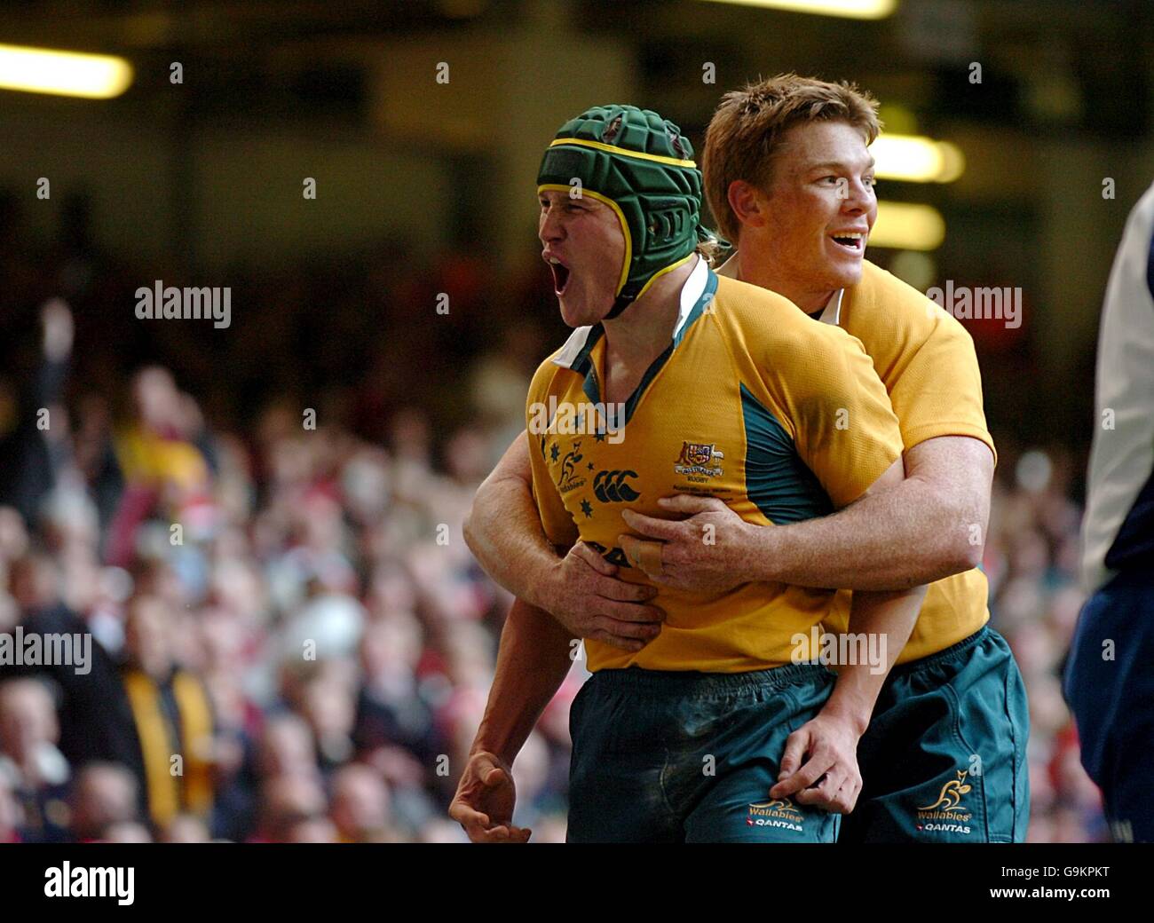Australias matt giteau celebrates scoring try hi-res stock photography ...